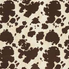 Moda que Expressa Sua Identidade - Paula Brazil